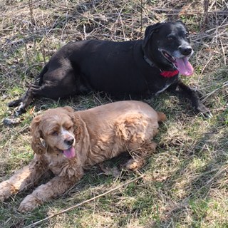 About Abbey – Abbey's Journey